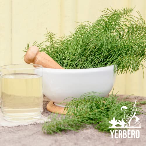 Yerbero - Premium Loose Horsetail Tea 2oz (58gr) | Cola De Caballo Te Herbal | Makes 30+ Cups | Shave Grass - Snake Grass | Stand Up Resealable Bag | Crafted By Nature100% All Natural.