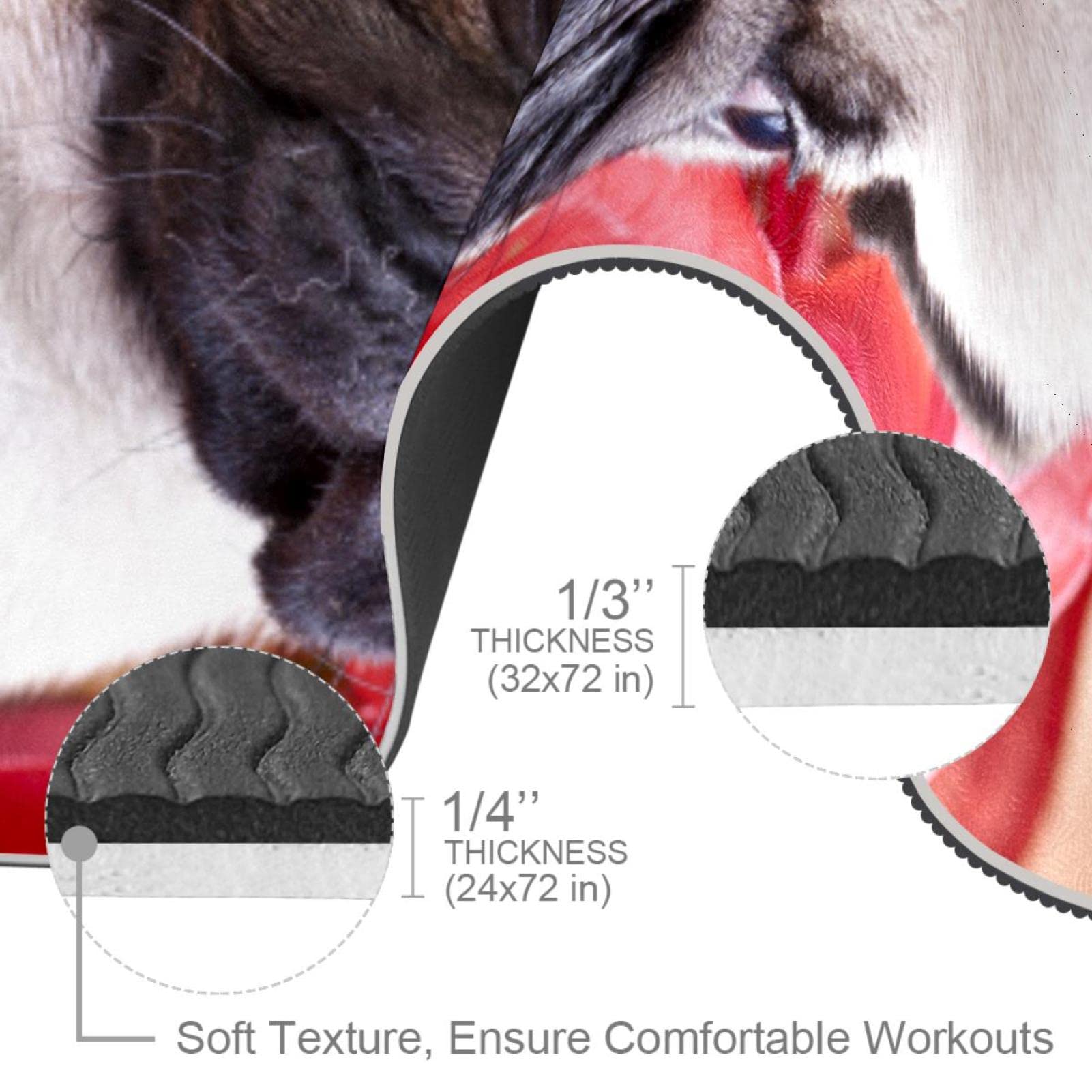 Yoga Mat, Yoga Mats for Home Workout, Workout Mat, Exercise Mats, Pilates Mat, dog animal pug pumpkin pattern