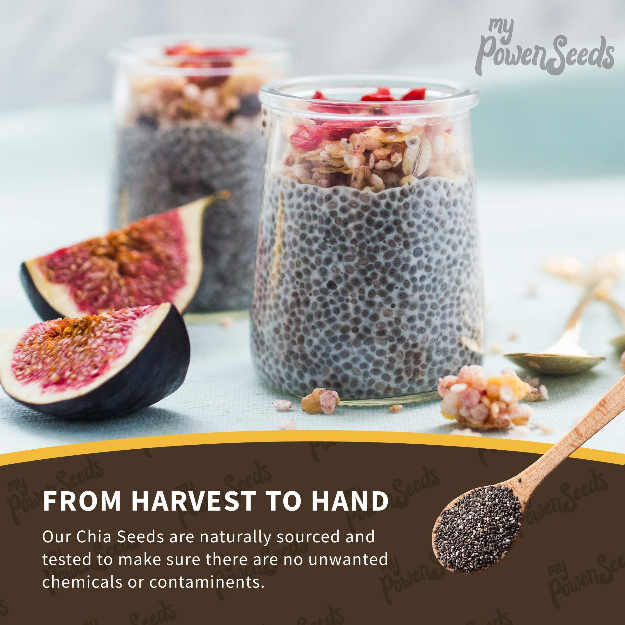 Sustainably Sourced Chia Seeds - Perfect for Snacking or Adding to Your Favorite Recipes - 1 lb