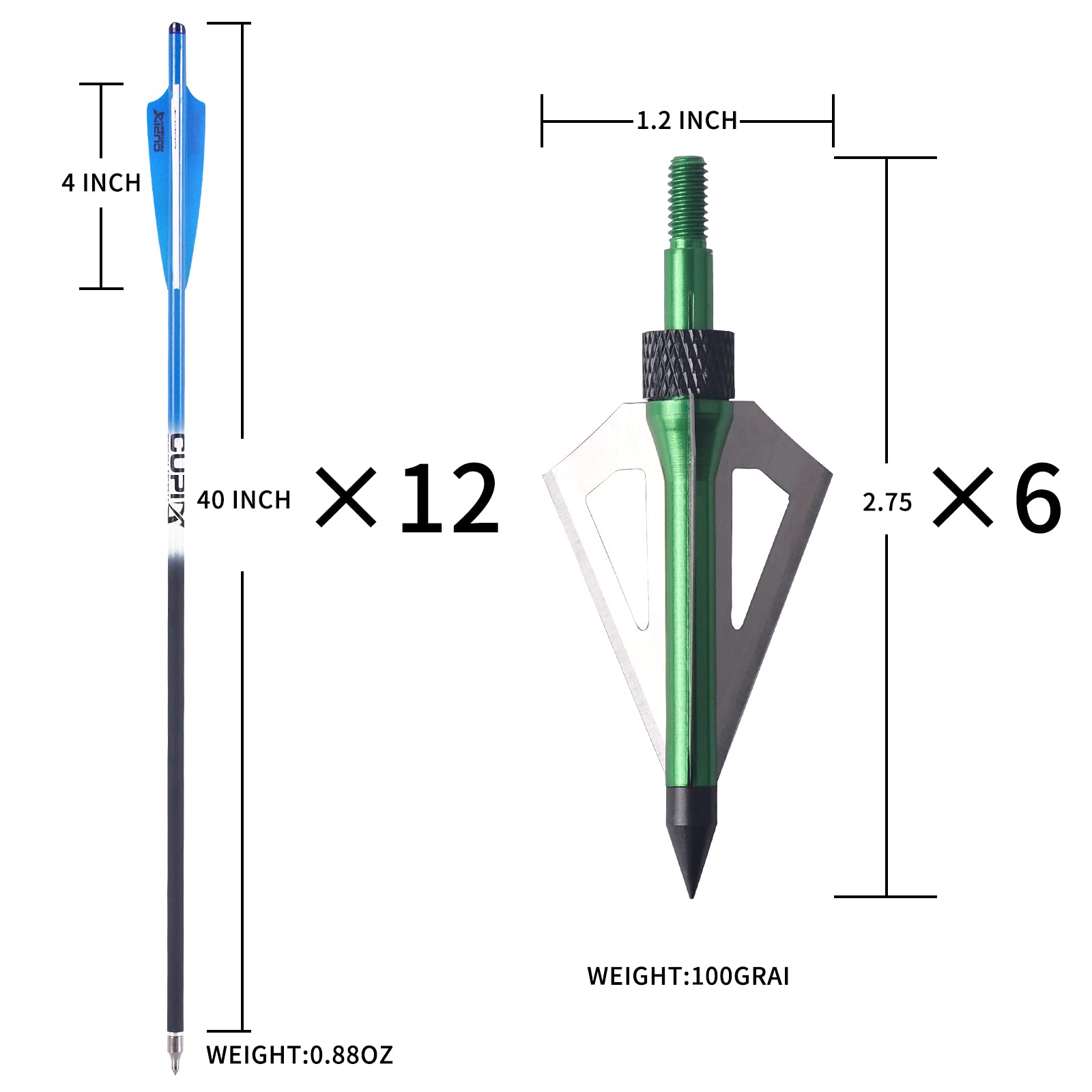 SXSZY Crossbow Bolts 20 Inch ,Carbon for Hunting Archery Arrows with 12 Pack and 6Pcs Broadheads and 4" Vanes
