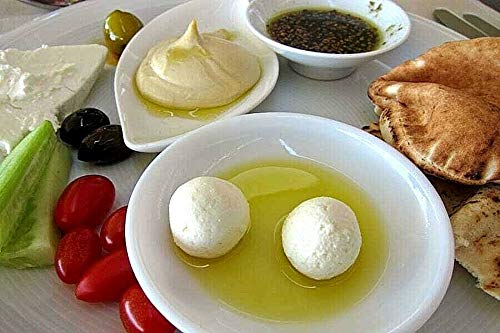 Plain Pickled Labneh Balls (Dry Yogurt) in Oil 20.oz/575 gm.