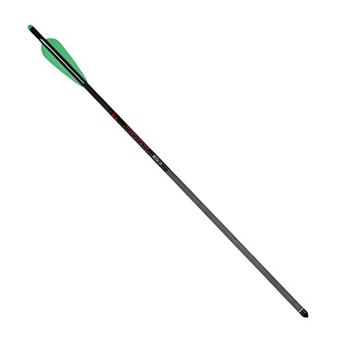REEGOX 20” Carbon Crossbow Bolts-100% Carbon Crossbow Arrows with Field Point/Moon Nock-6 Pack