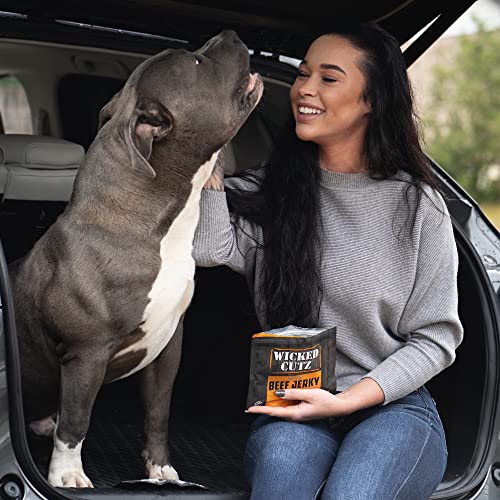 Orange Teriyaki Beef Jerky | Tender, Flavorful, Easy to Chew Premium Craft Jerky with 24g Protein Per Bag, High Protein Snacks, Low Calorie Snacks, Low Carb Snacks, Healthy Snack for Adults (2 Bags)