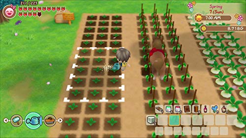 Story of Seasons: Friends of Mineral Town - Nintendo Switch