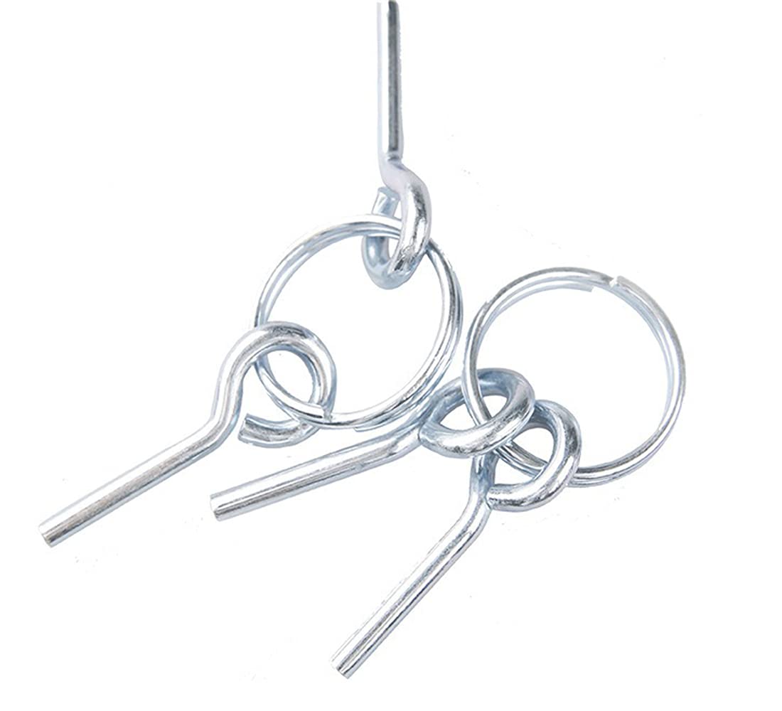Tent Pole Rings and 2 Pins, 6 PCS Stainless Steel Galvanized Tent Building Tool, Tent Pole Accessories for Camping and Hiking.