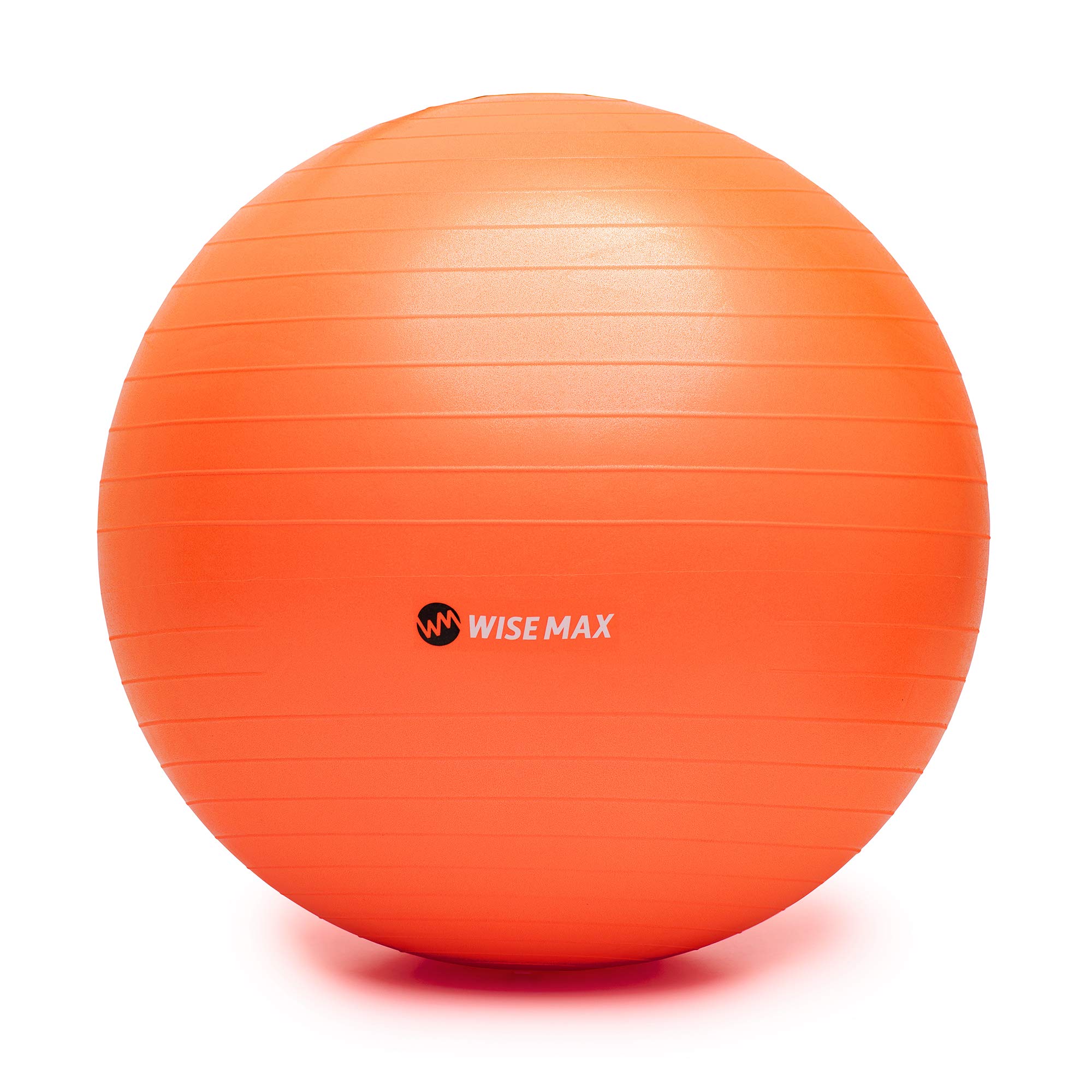 WISEMAX Exercise Ball Chair – Stability Yoga Balance Ball with Ring Base, Resistance Bands & Pump, Loop Bands, Carry Bag, Poster for Home, Office, Posture, Gym Bundle, Home Workout- 65cm