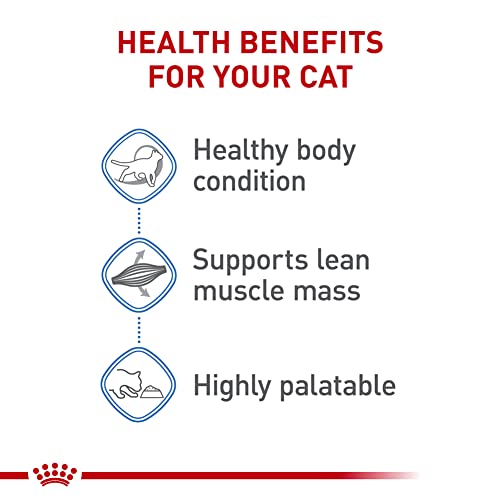 Royal Canin Feline Weight Care Thin Slices in Gravy Canned Adult Wet Cat Food, 3 oz can (6-pack)