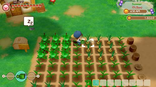 Story of Seasons: Friends of Mineral Town - Xbox One