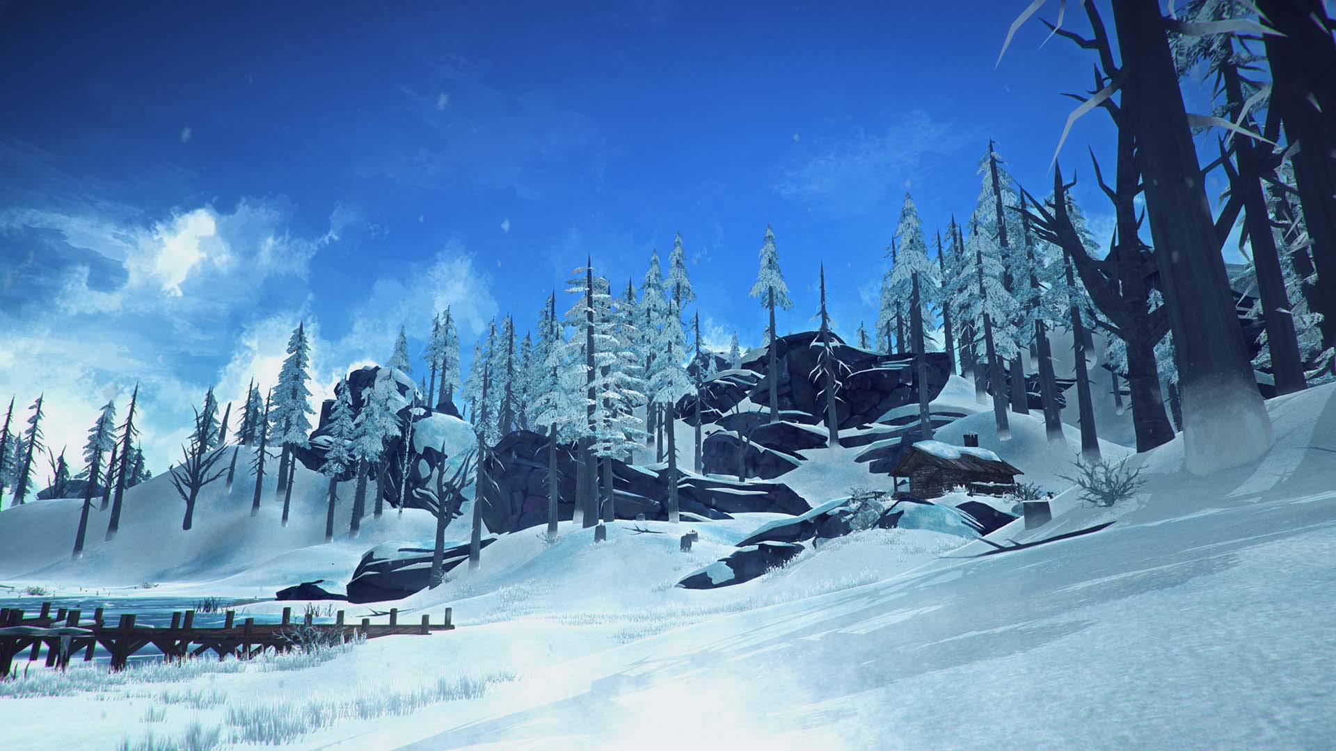 The Long Dark (PS4)