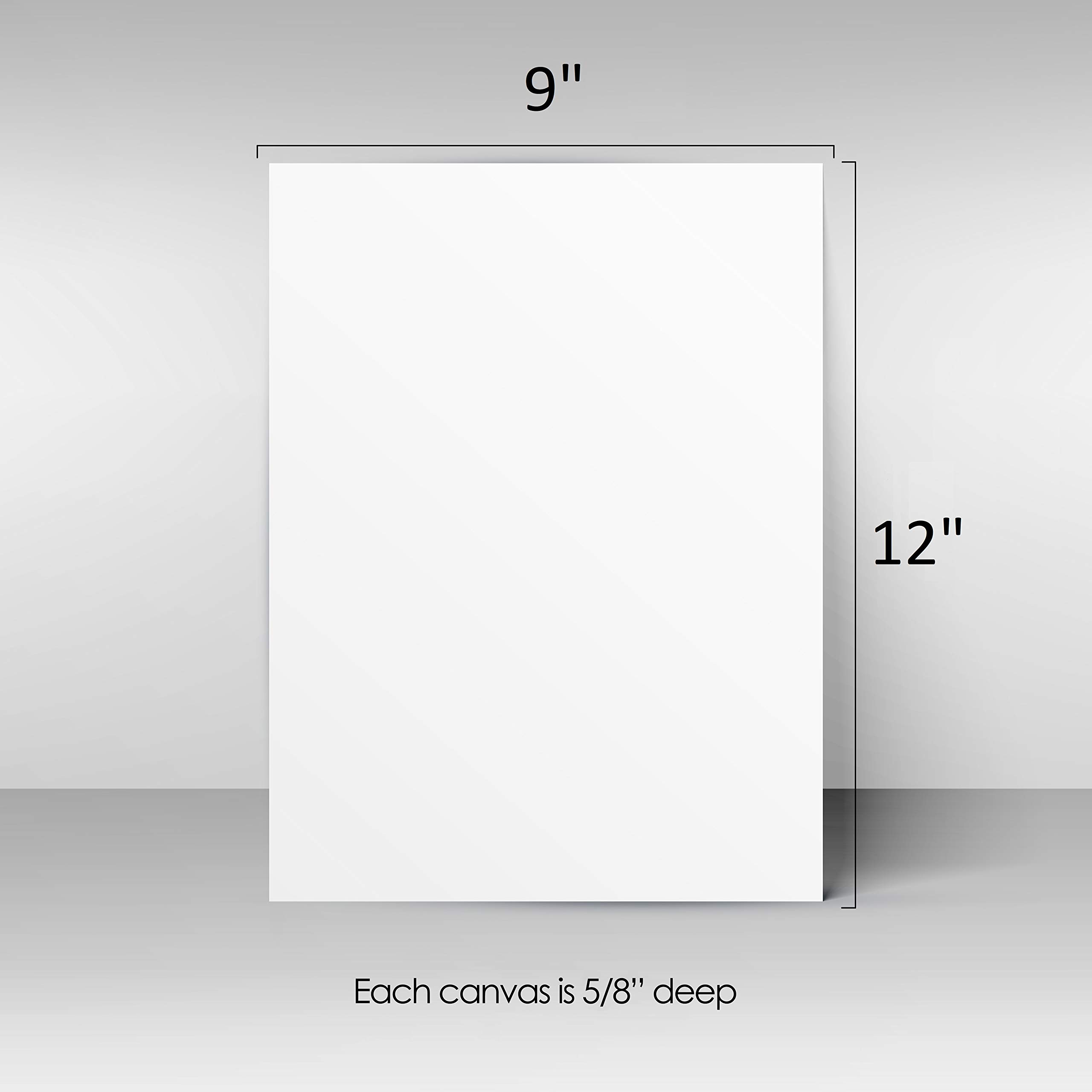 Premiere by Nicole 8 Pack Stretched Canvas for Painting,9x12|Bulk Value Pack Plain White Rectangular Canvases,Triple Acrylic Gesso Primed|Art Supplies for Acrylics,Oil Painting,DIY Wall Decor