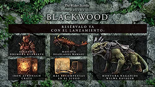 The Elder Scrolls Online Collection: Blackwood (PS4)
