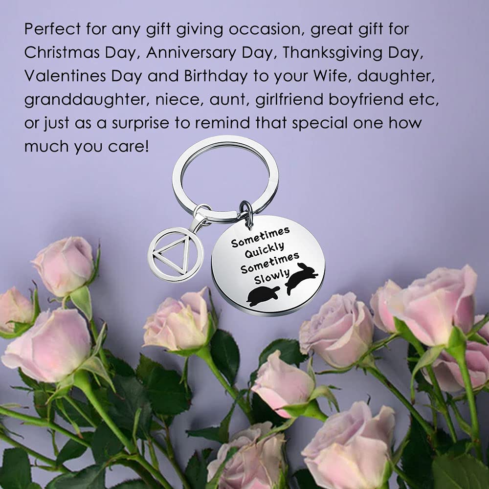 TIIMG Tortoise and Hare Sobriety keychain AA NA Inspirational Gift 12 Step Gifts New Beginning Gift (Sometimes Quickly)