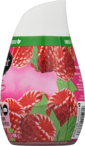Renuzit Adjustable Solid Gel Air Freshener Cone, Forever Raspberry, Nonstop Freshness, 7 Ounces, 1 Cone