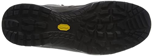 SCARPA Terra GTX, Men's Hiking Boots, Brown Gore Tex Energy Ii, 5 1/3 UK (38.5 EU)