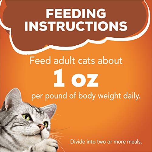 Purina Friskies Gravy Wet Cat Food Variety Pack, Gravy Sensations Poultry Pouches - (12) 3 oz. Pouches