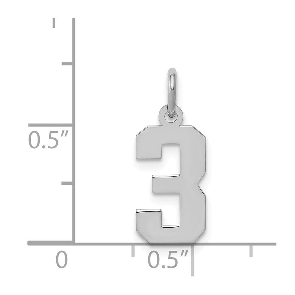 Saris and Things 925 Sterling Silver Small Polished Number 3 Charm Pendant