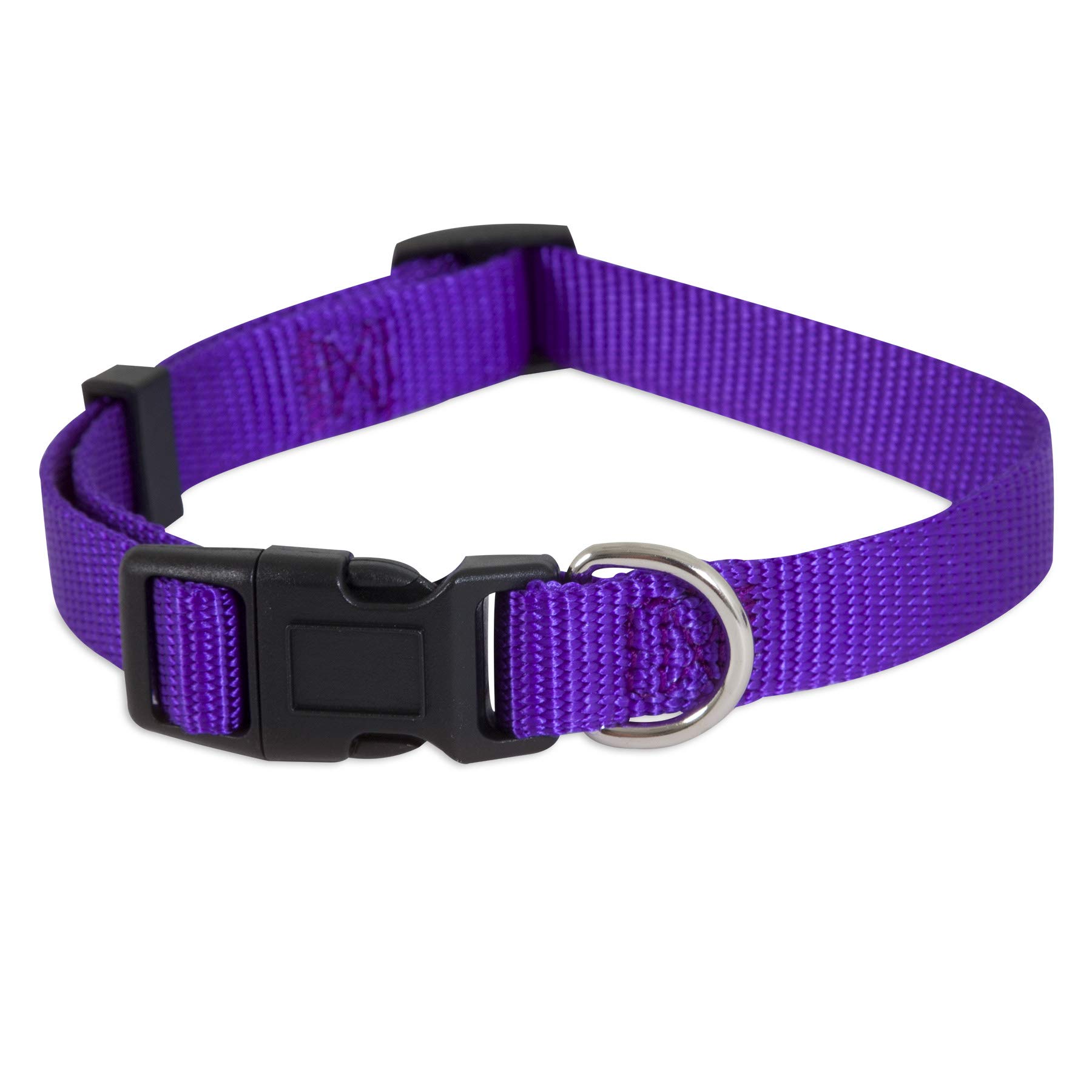 Petmate Adjustable Pet Collar, Purple, Adjusts from 10 Inches to 16 Inches Long