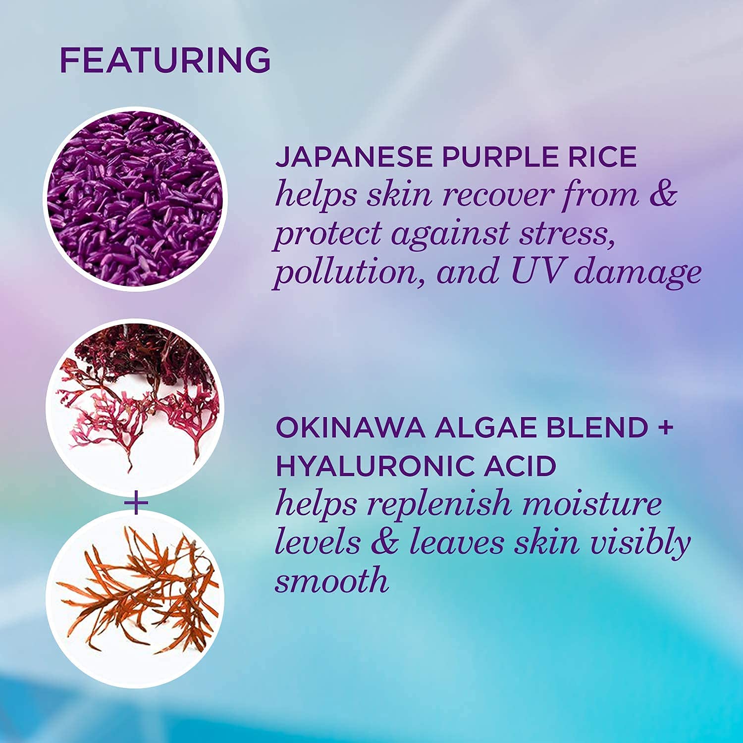 TATCHA The Dewy Skin Cream: Rich Cream to Hydrate, Plump and Protect Dry and Normal Skin - 50 ml | 1.7 oz