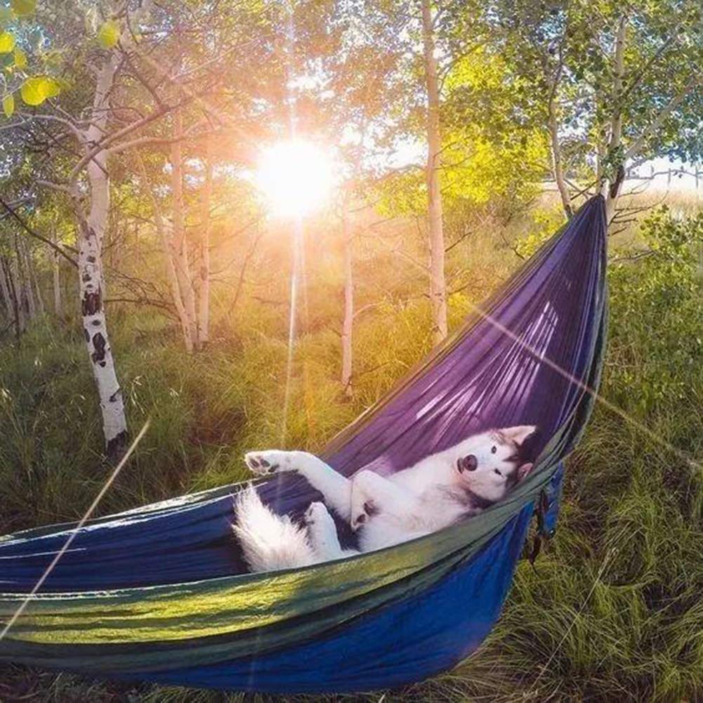 Purjoy Camping Hammock Single & Double Portable Hammocks with 2 Tree Straps (18 Loops/13.2 Ft Total),Lightweight Nylon Parachute Hammocks for Travel,Beach,Backyard,Patio,Hiking(Fuchsia/Purple1)