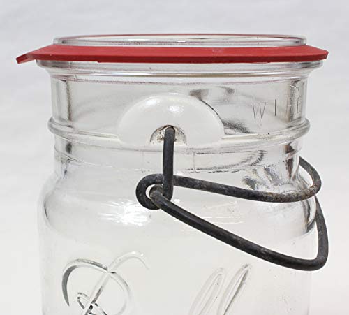 Viceroy Rubber & Plastics Rubber Rings For Wide Mouth Canning Jar, 12-Pk.