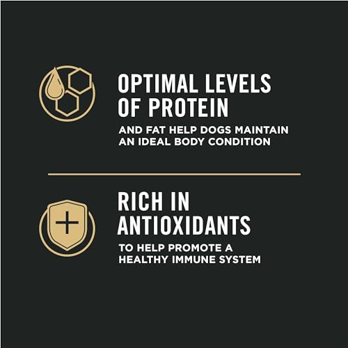 Purina Pro Plan High Protein, Cognitive Health Dry Dog Food, Chicken & Rice Formula - 16 lb. Bag