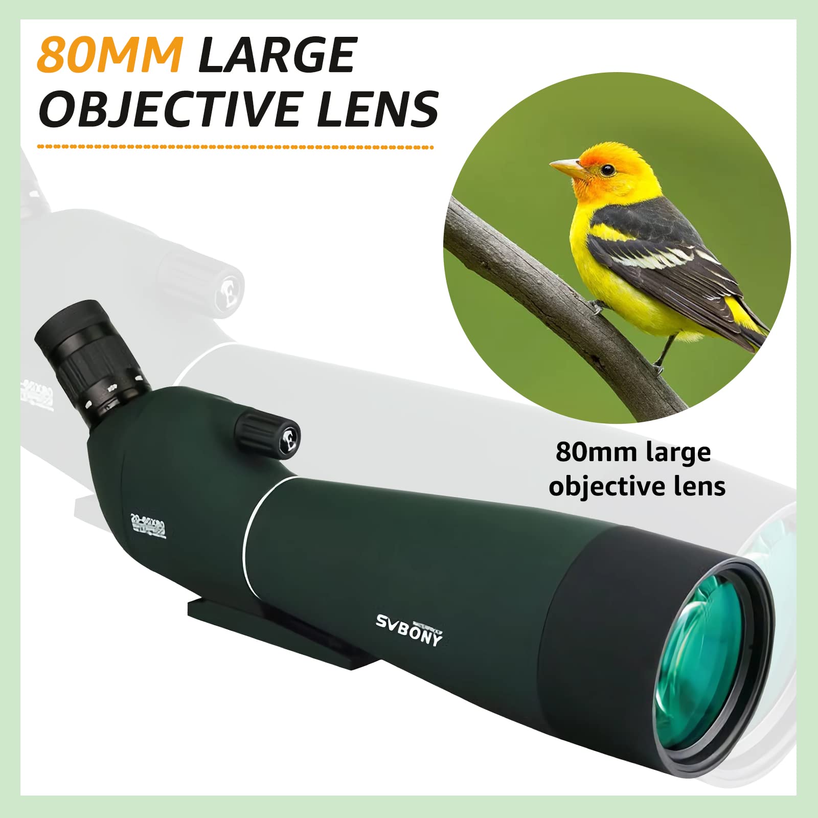 SVBONY SV28 Angled Spotting Scope with Tripod, 20-60x80 Spotter Scope, Long Range Sporting Scope with Phone Adapter, Portable Spotting Scopes for Bird Watching, Target Shooting, Hunting
