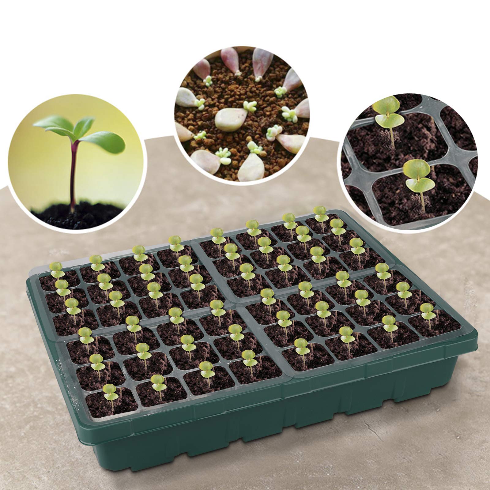 QCUTEP Seed Starting Tray 48 Cells Insert Hot House Seed Starter Trays Kit Garden Large Seedling Tray with Humidity Dome and Base Tray for Seed Starting, Germination and Seedling Propagation