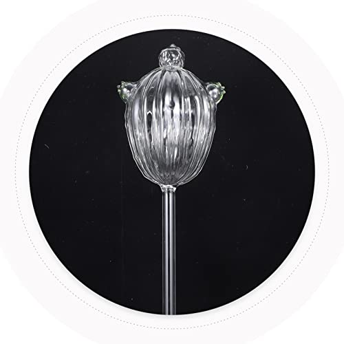 Yardwe House Plants House Plants Indoors Live 2pcs Practical Bonsai Plant Watering Globe Clear Glass Watering Device Cute Shape Waterer Bulb House Plants Plant Watering Globes