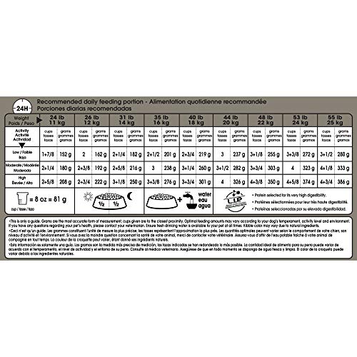 Royal Canin Medium Weight Care Adult Dry Dog Food for Medium Breeds, 6 lb bag