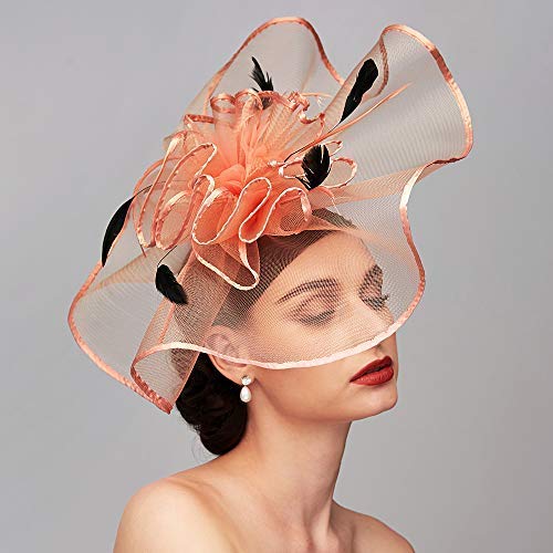 TS Fascinators Hat with Mesh Feather Hair Clip Tea Party for Wedding Cocktail Party or Special Occasion(Coffee)