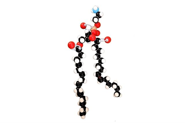 Phospholipid Modeling Set (Phosphatidylinositol Model)