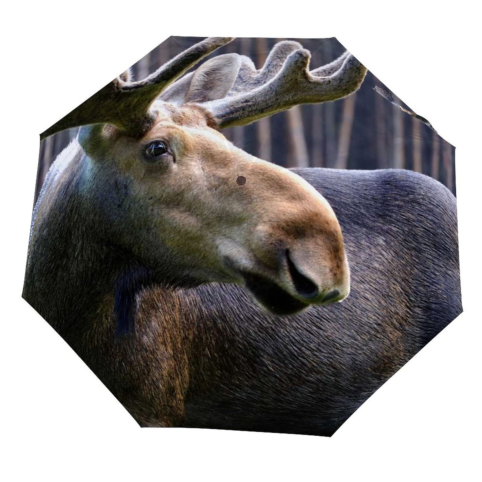 Windproof Travel Folding Automatic 3 Fold Umbrella,Moose In Their Natural Habitat,Sun Protection Travel Compact Folding Umbrella.