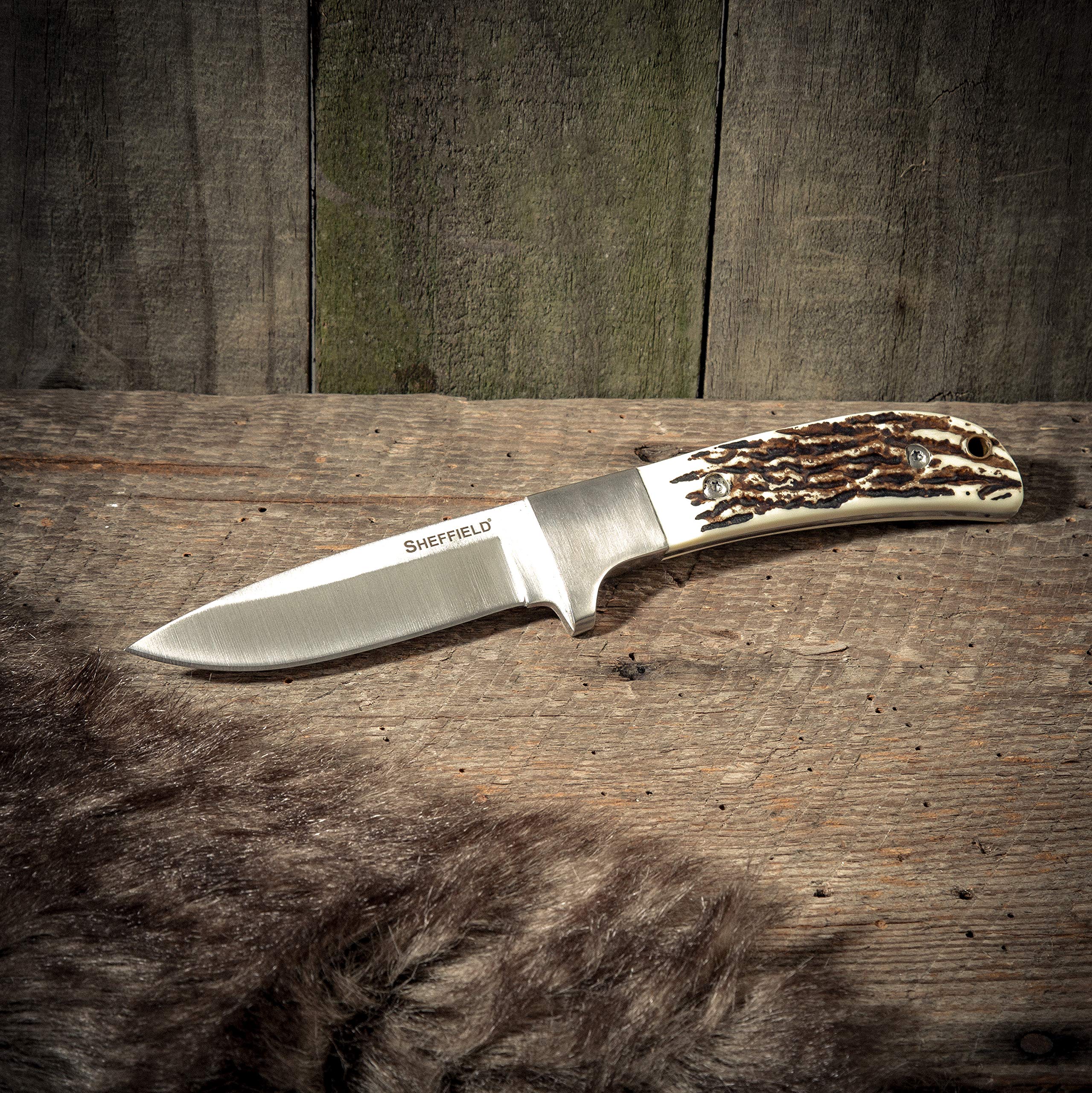 Sheffield 12190 Herod 3.75 Inch Fixed Blade Hunting Knife, 4.5 Inch Injection Stag Handle, 420 SS Drop Point Blade, Full Tang Survival Knife