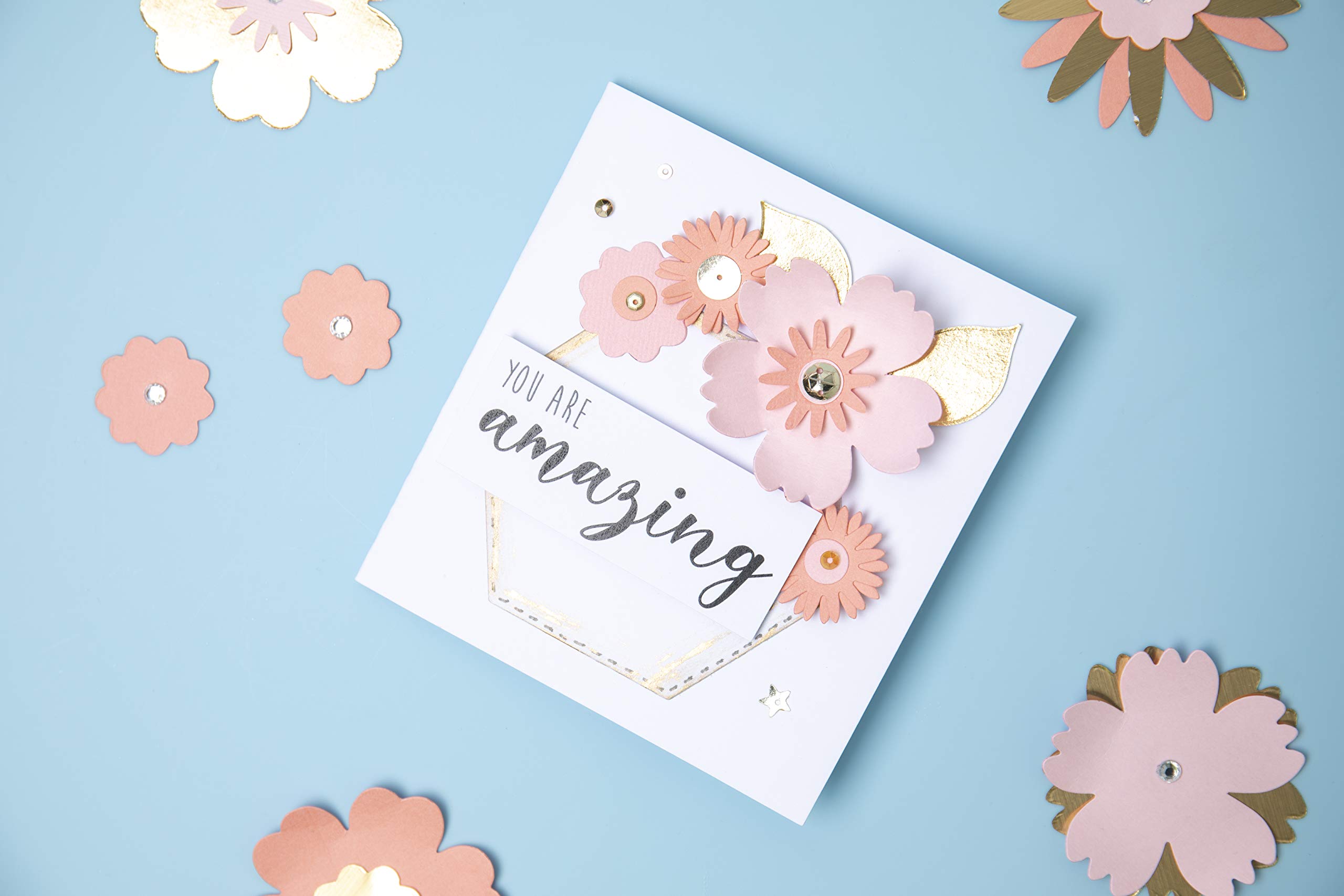 Sizzix Bigz Die , Bold Blossoms by Laura Kate Cutting dies, Multicolor