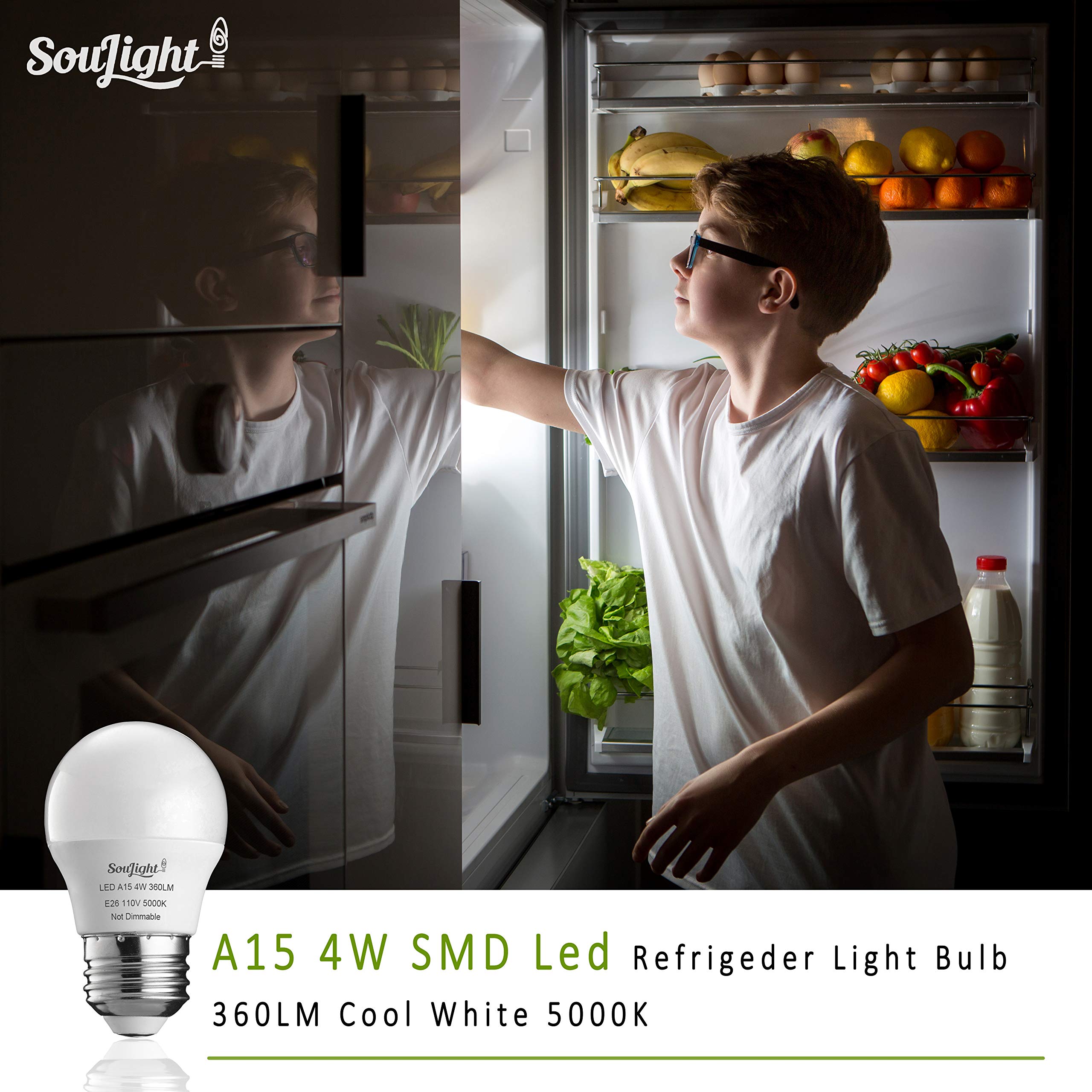 Refrigerator Light Bulb LED - SMD A15 4W 40Watt Equivalent - Waterproof E26 Base - 5000K Daylight White - 360 Lumen - Energy Saving β 4W Led Appliance Bulb - Replacement Bulbs - 2 Pack