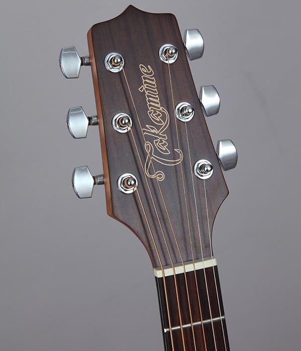 Takamine GD11MCE-NS Dreadnought Cutaway Acoustic-Electric Guitar - Natural Satin Bundle with Gig Bag, Cable, Tuner, Strap, Strings, Picks, Instructional DVD, and Austin Bazaar Polishing Cloth