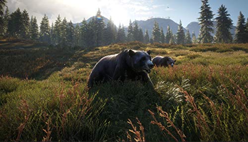 theHunter: Call of the Wild - 2019 Edition - PS4 (PS4)