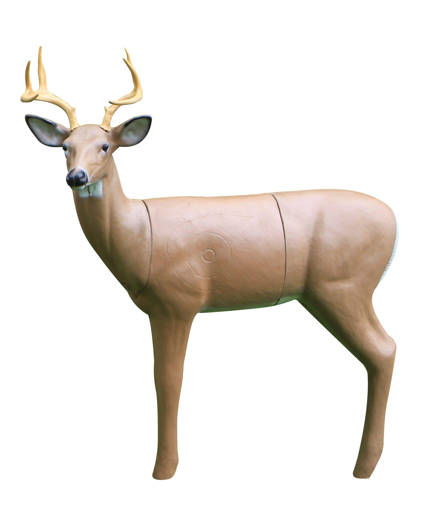 Real Wild 3D Medium Series Alert Mid Section Replacement Deer Archery Target with ASA and IBO Scoring Rings