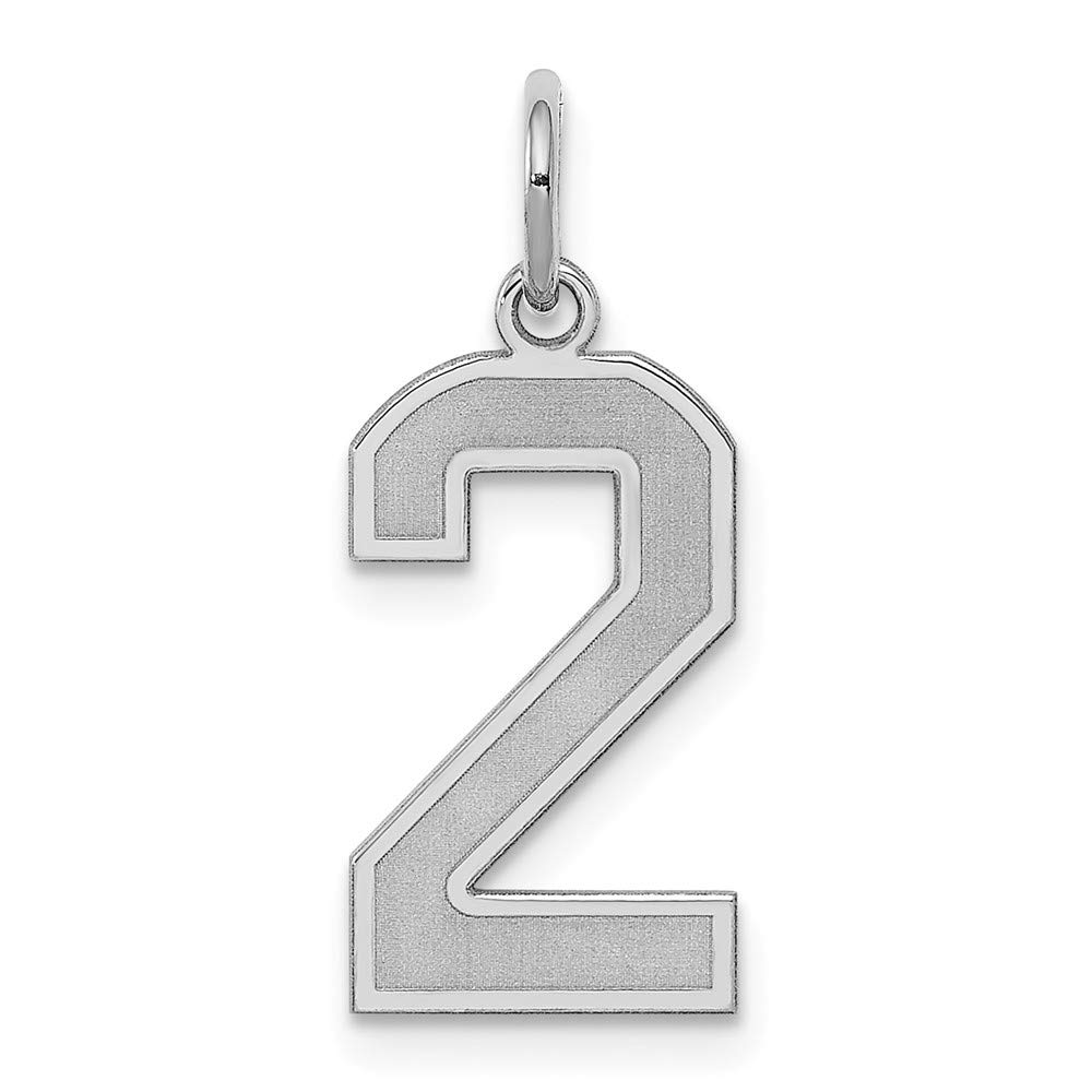 Saris and Things 925 Sterling Silver Medium Satin Number 2 Charm Pendant