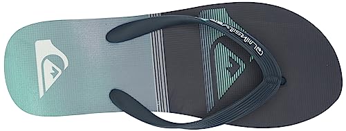 Quiksilver Men's Molokai Art Flip Flop Sandal, Blue/Blue/Green 233, 11