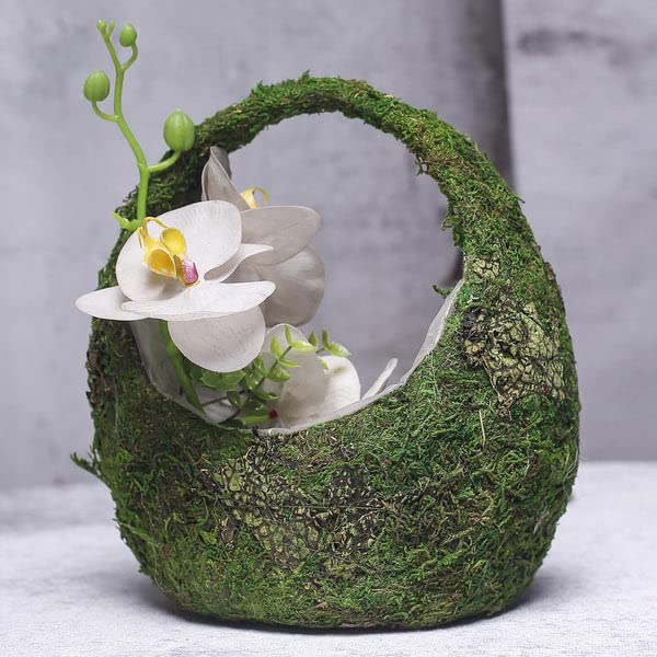 TABLECLOTHSFACTORY 9.5" Preserved Moss Planter Basket with Handle Moss Covered Planters with Inner Lining