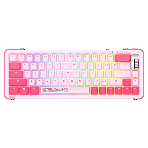 YUNZII Y68 65% Hot Swappable Wireless Mechanical Keyboard with RGB Backlight, Double Shot PBT Keycaps for Gamers/Mac/Win (Gateron Pro Red,Y68 Pink)