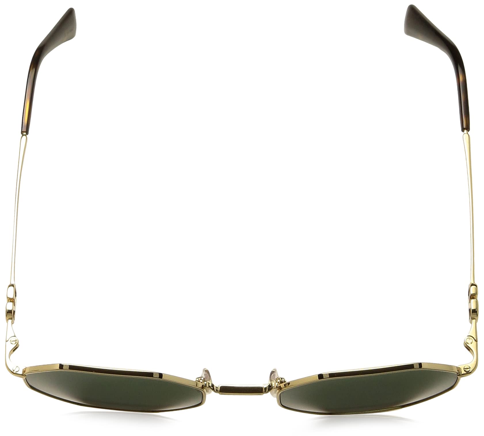 Valentino Women's Round Fashion Sunglasses, Gold/Green, One Size