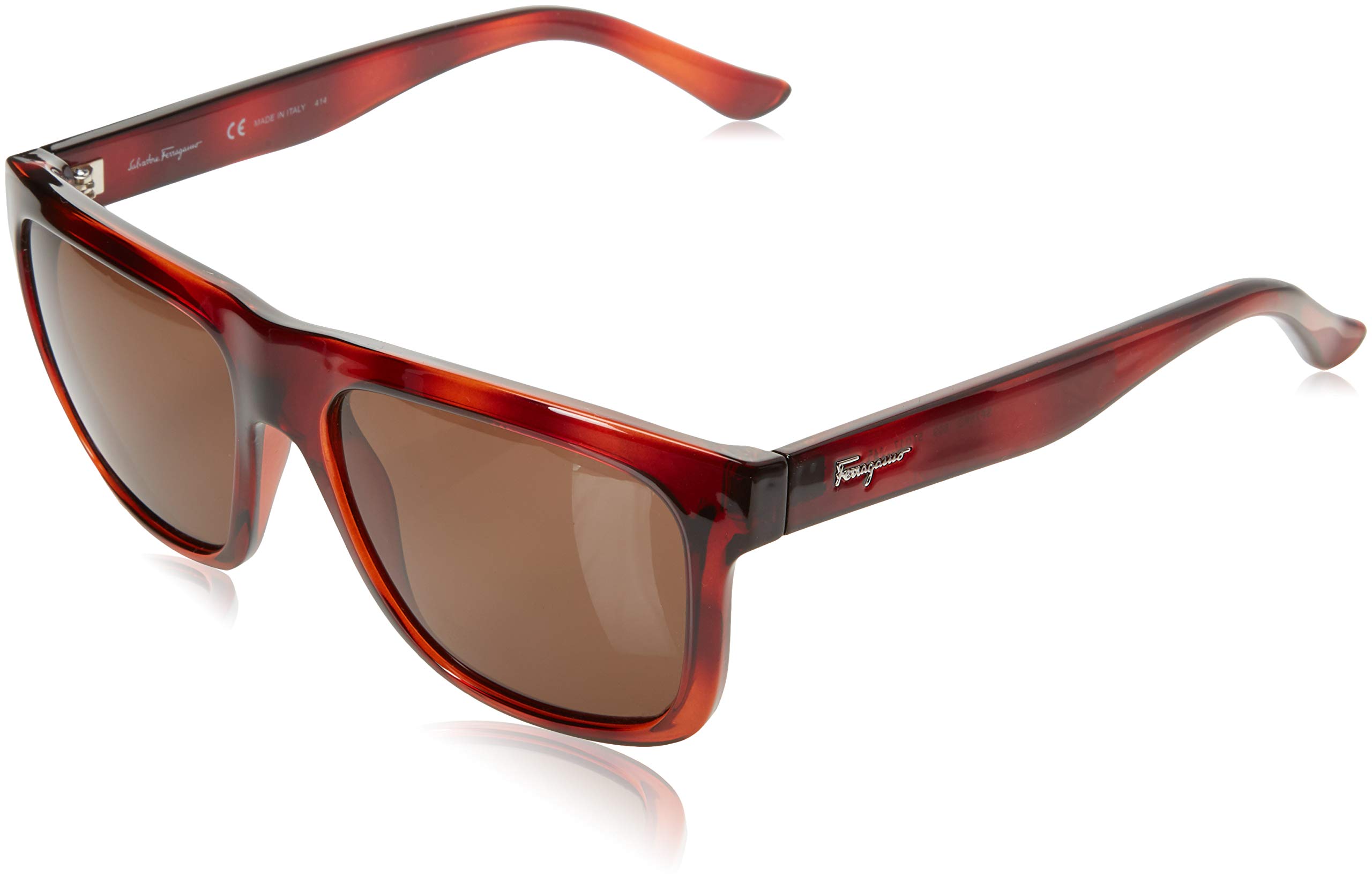 Salvatore Ferragamo Salvatore Ferragamo Women's Sunglasses Sf769s, Brown, 57