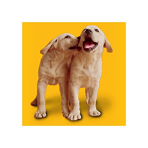 Pedigree Meaty Ground Dinner Puppy Complete Chicken & Beef Canned Dog Food 13.2 Ounces (Pack Of 24)