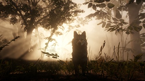 Red Dead Redemption 2 Xbox One