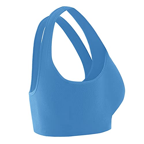 Womens Plus Size Seamless Padded Sports Bra Full-Coverage Bra Pullover Wirefree Running Yoga Tank Bra Pack of 3, Multicolor, 3X-Large