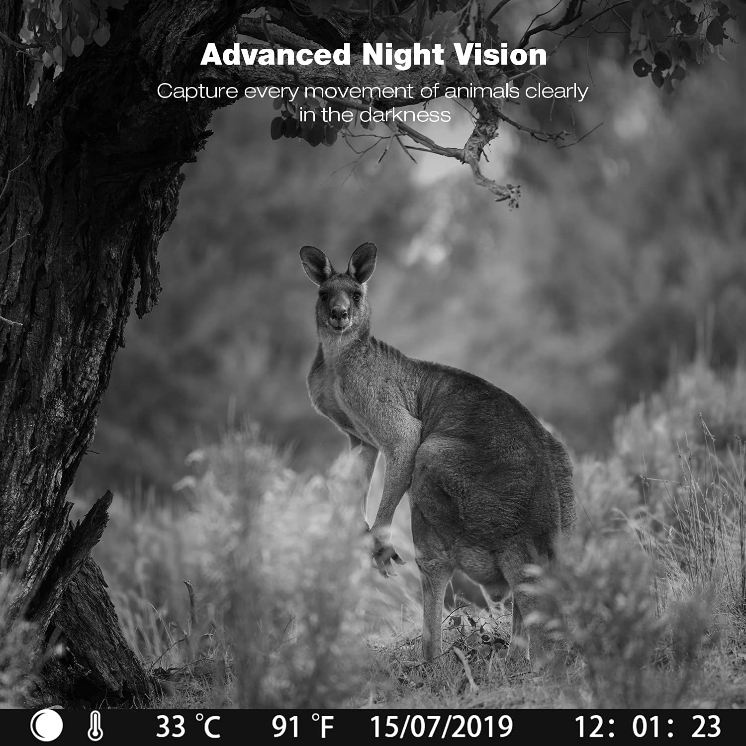 Trail Camera 20MP 1080P Waterproof Game Hunting Cam with 3 Infrared Sensors Motion Activated Night Vision for Wildlife Monitoring