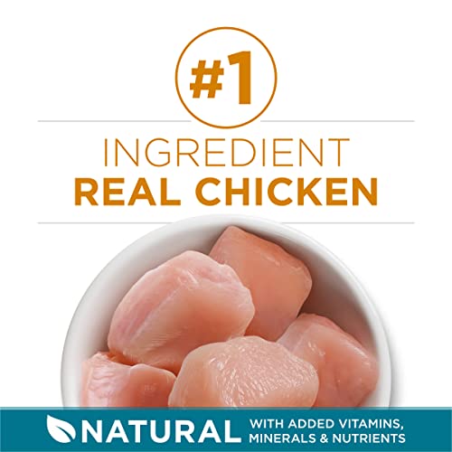 Purina ONE Natural Dry Cat Food, Tender Selects Blend With Real Chicken - 22 lb. Bag