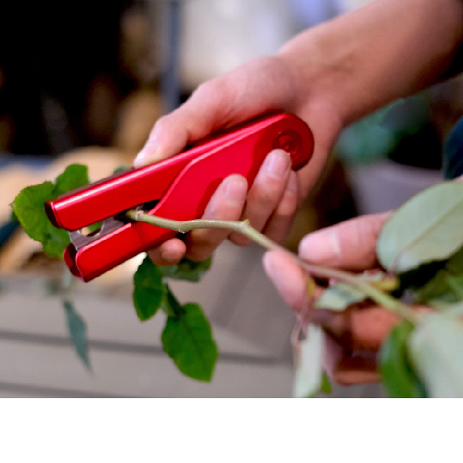 puseky Rose Pliers Metal Leaf Thorn Stripper Tool Leaf Floral Tools for Florist DIY Pruning Flower Branche Cuting Tool
